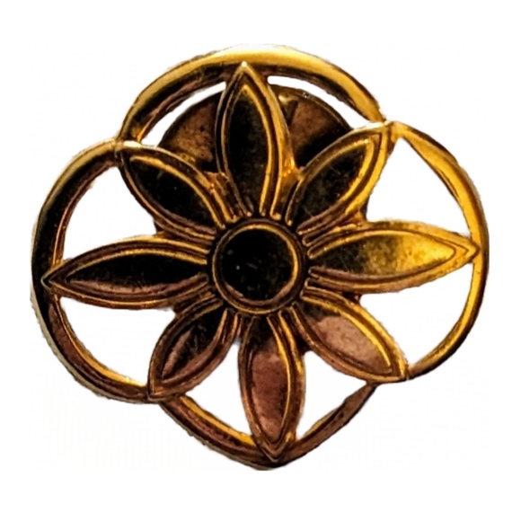 Girl Scouts | Accessories | Daisy Girl Scout Membership Pin Flower ...